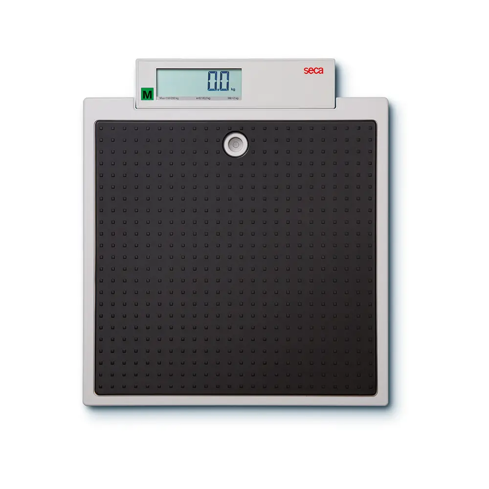 seca 875 Class III Electronic Flat Scale | HCE Medical Equipment
