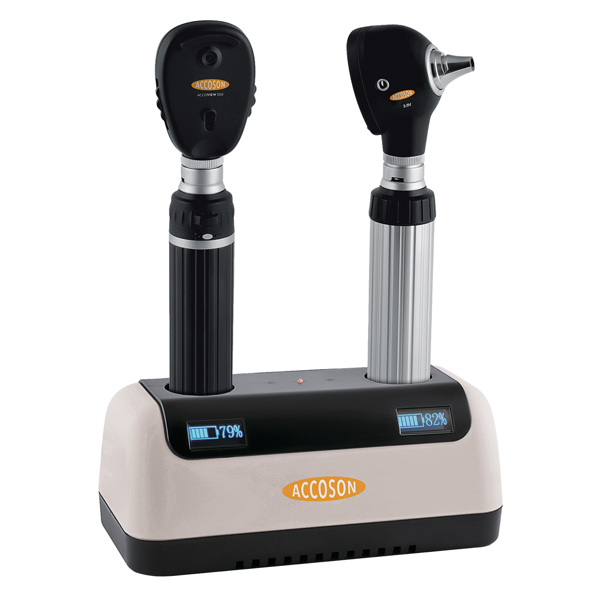 AccoView Plus Charging Station | HCE