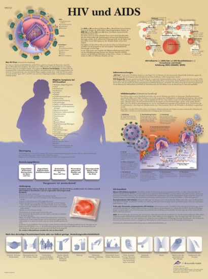 UK 3B Laminated Anatomical Wall Chart - HIV and AIDS | HCE