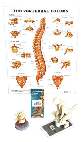 ESP Manual Handling Kit - Basic | HCE
