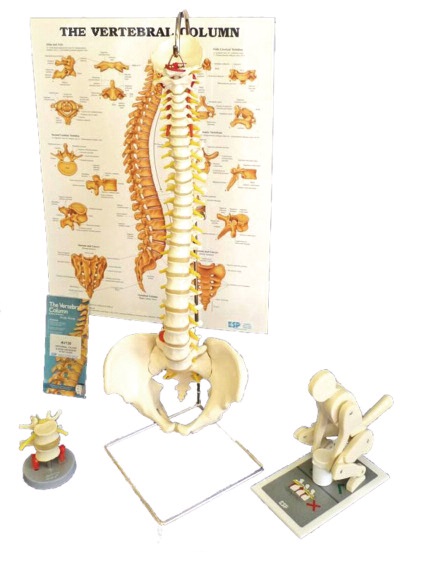 ESP Manual Handling Kit - Intermediate | HCE