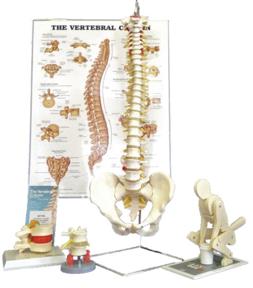 ESP Manual Handling Kit - Deluxe | HCE