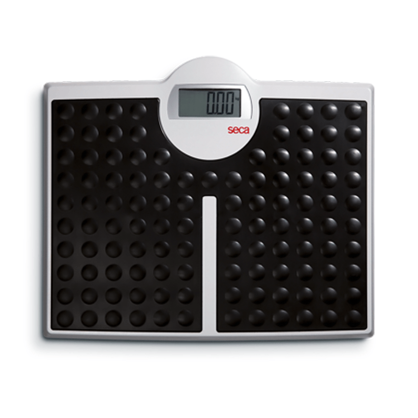 seca 813 Electronic Scale with Large Platform (Non-Medical) | HCE