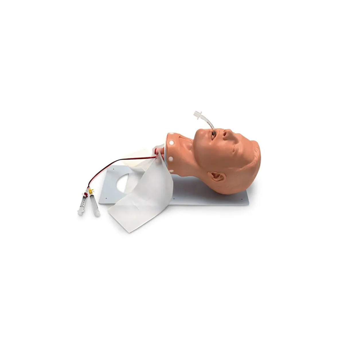 Adult Deluxe Airway Management Trainer | HCE