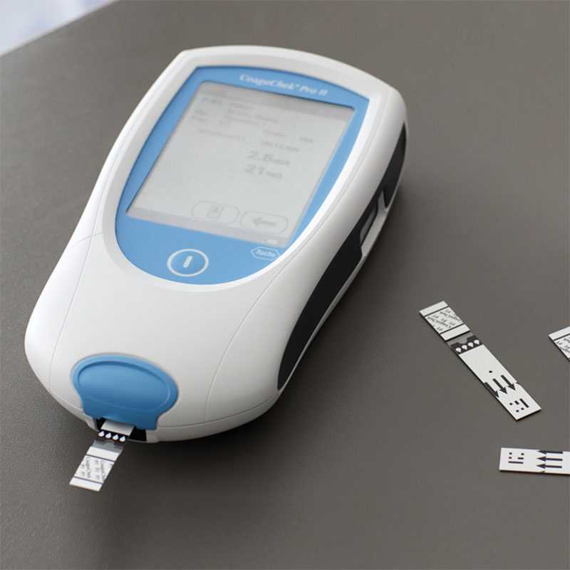 Roche CoaguChek Pro II Monitor - 7210841190 | HCE