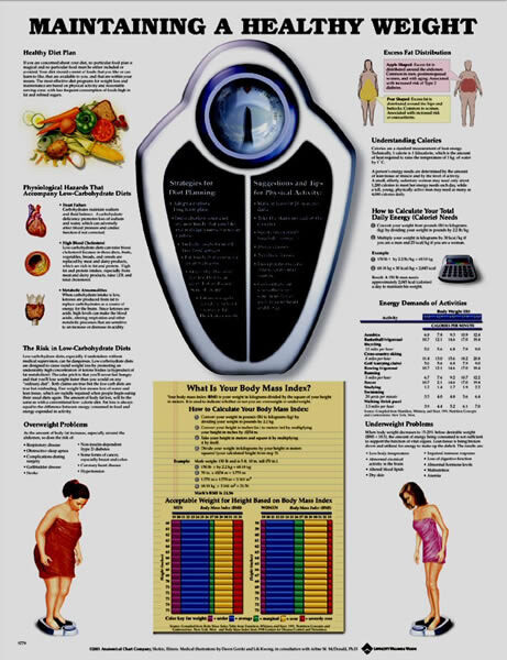 Maintaining A Healthy Weight | HCE