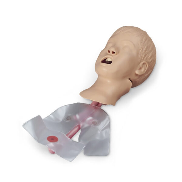 Simulaids Child Airway Management Trainers - 5 year old (with stand) | HCE