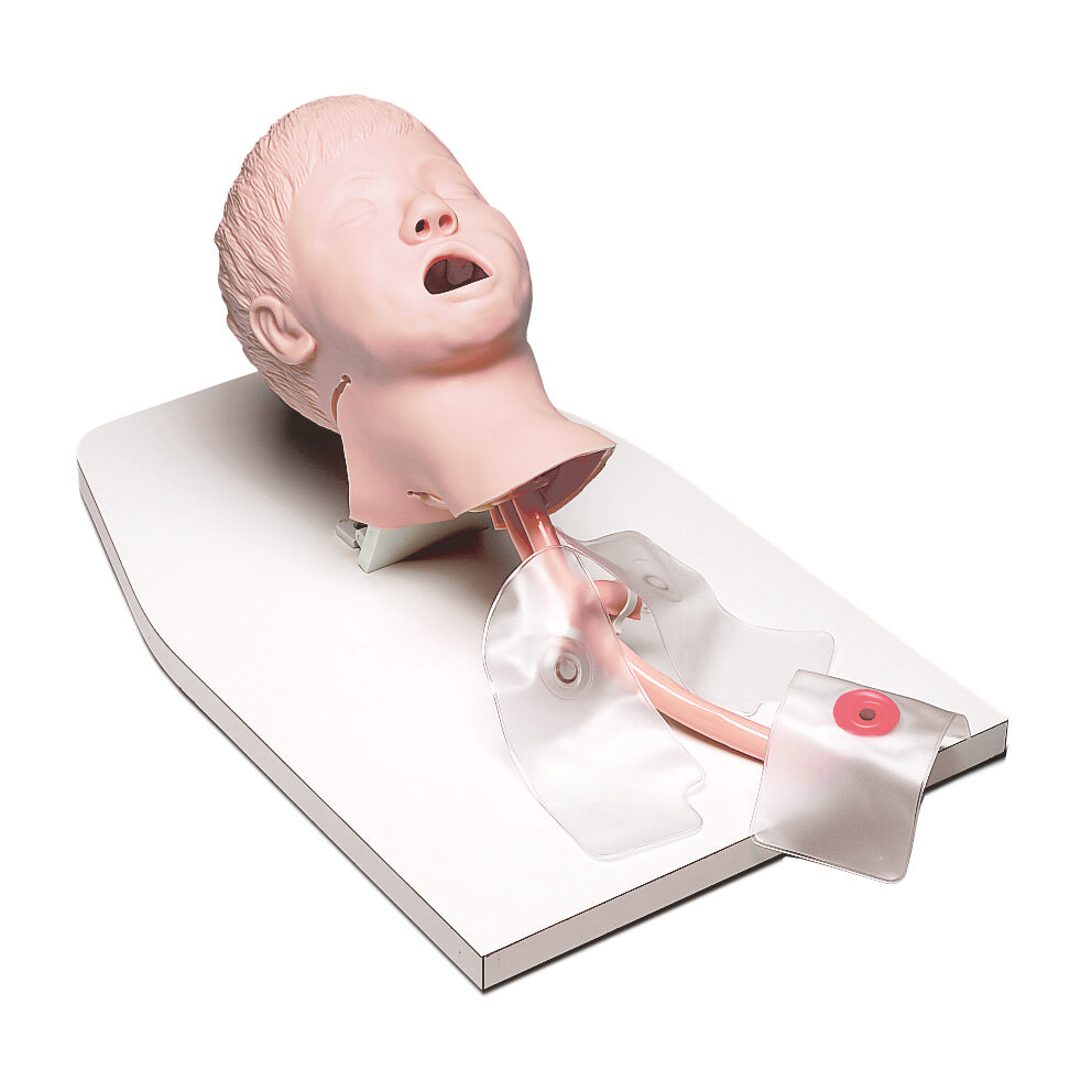Simulaids Child Airway Management Trainers - 5 year old (with stand) | HCE