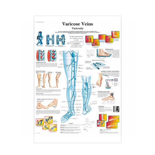 Anatomical Charts Books | HCE Medical Supplies