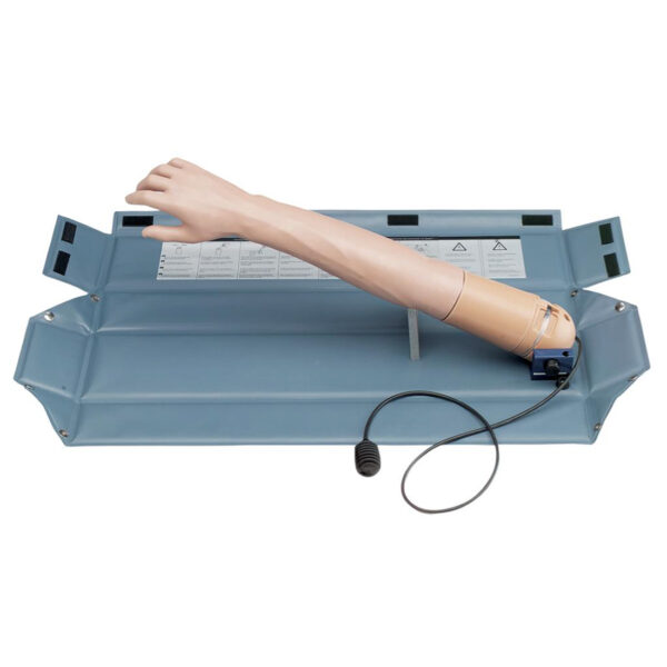 Teaching Aids | HCE Medical Supplies