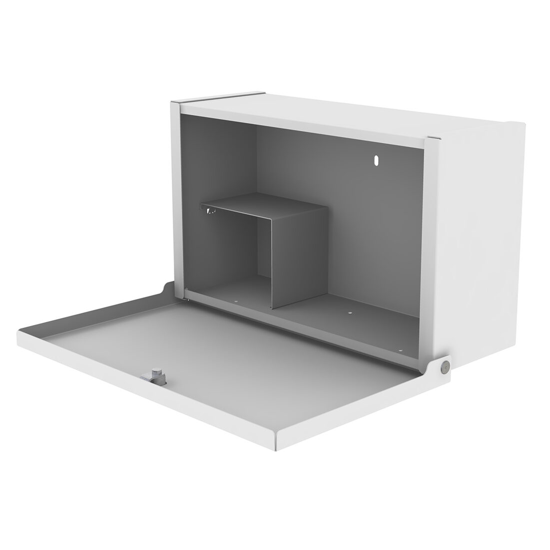 Shuttleworth Wall Mounted Patient Drug Cabinet with Cam Lock - 430 x ...