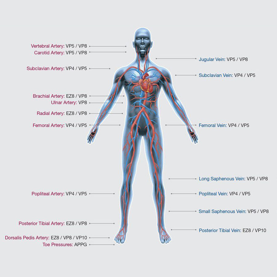 Huntleigh VP8-XS 8MHz Vascular Doppler Probe | HCE