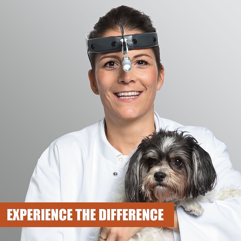 Heine MicroLight 2 on S-FRAME | HCE