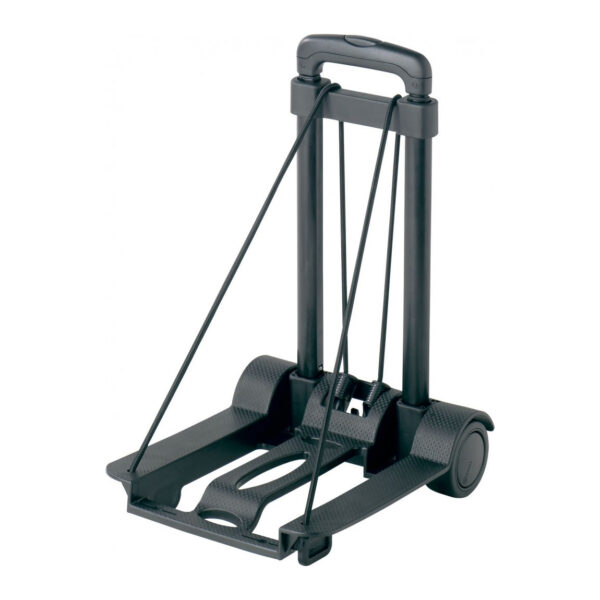 Polar 1 Litre Cool Blocks | HCE