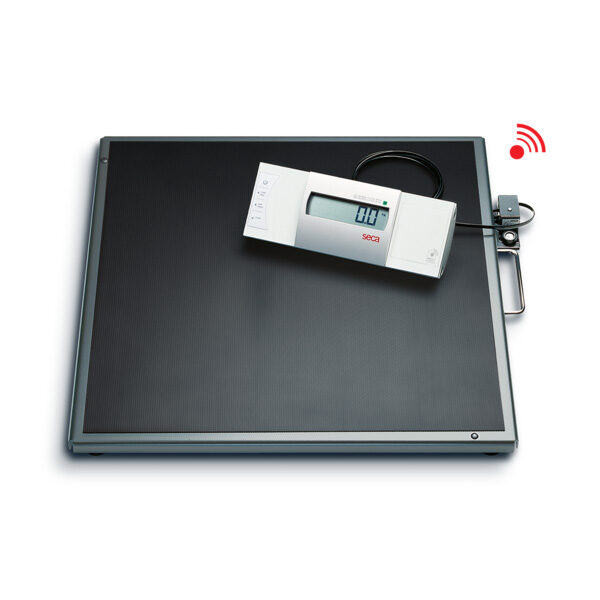 seca 875 Class III Electronic Flat Scale | HCE Medical Equipment