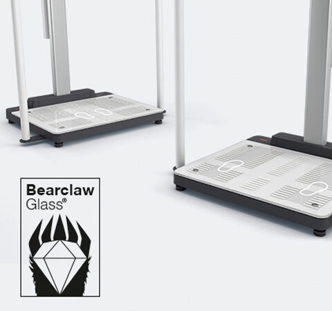 seca 655-HR Ultrasonic Scale with Handrail | HCE