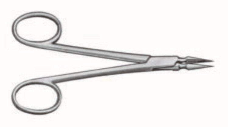 Arthur 5 1/2 Splinter Forceps | HCE