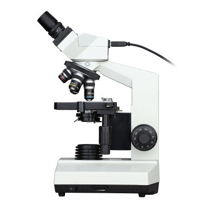 Digital Binocular Microscope with Camera | HCE