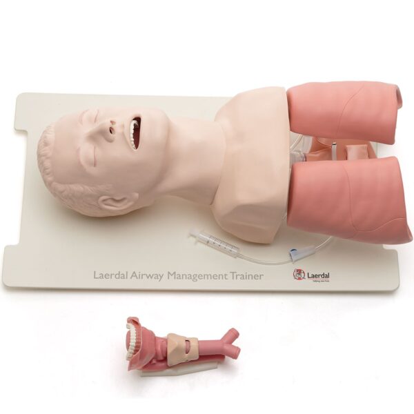 Infant Airway Management | HCE