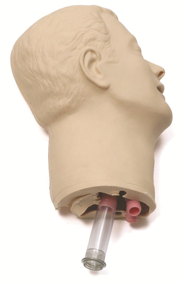 Laerdal Airway Management Head skin & airways | HCE